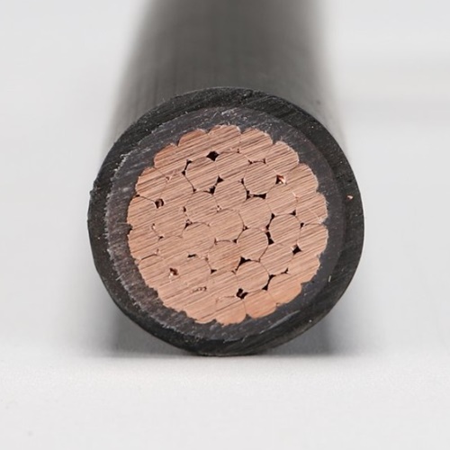 오사전선 TFR-CV 240SQ x 1C [1m] : 에누리 가격비교