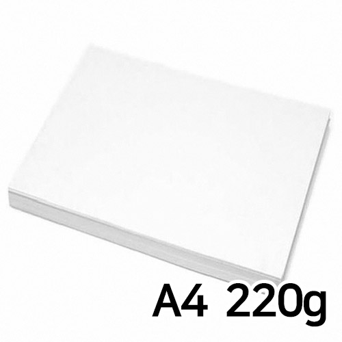 모조지 A4 220g [100매] - 에누리 가격비교