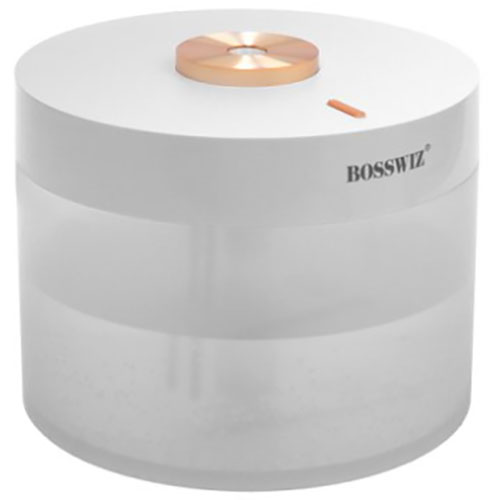 아이온코리아 BOSSWIZ HM-450 - 에누리 가격비교