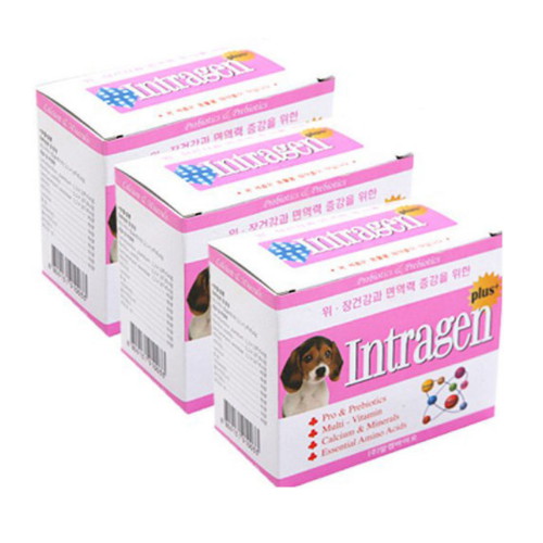 알켐코리아 인트라젠 영양제 60g (2g x 30p) [3개] - 에누리 가격비교